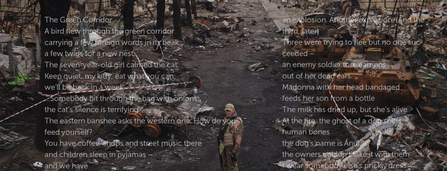 We take a shortcut from love to hatred: the newest Ukrainian war poems
