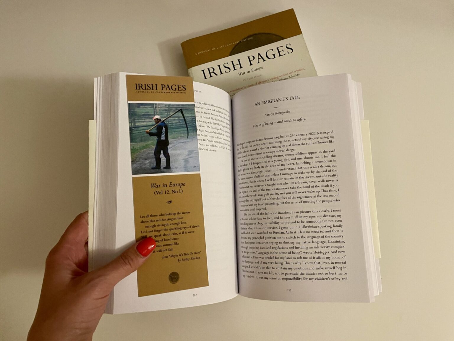 Літературний журнал Irish Pages присвятив цьогорічний номер Україні